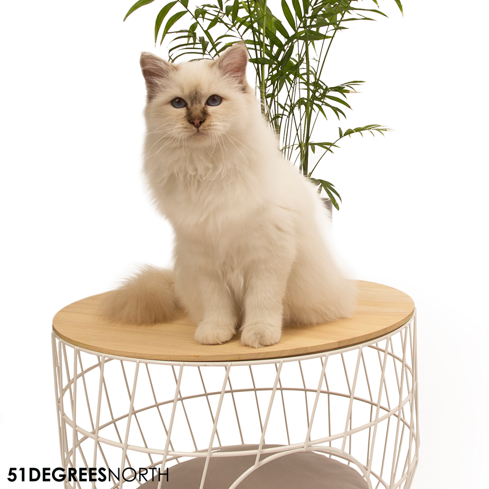 Wire Cat Table Julia White incl Cushion – Cat Tree King Australia